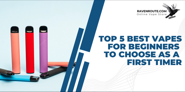 Top 5 Best Vapes for Beginners to Choose as a First Timer - RavenRoute